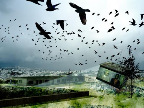 PALESTINE: Return to Nature - Archis